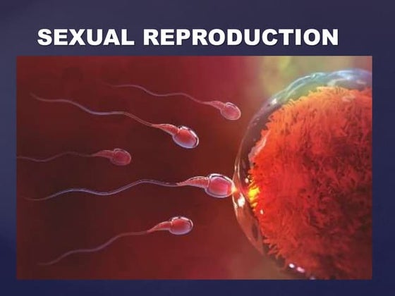 Asexual and sexual reproduction | PPTX