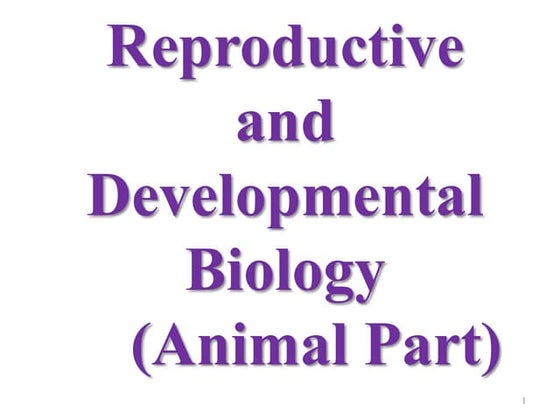 Animal Development | PPTX