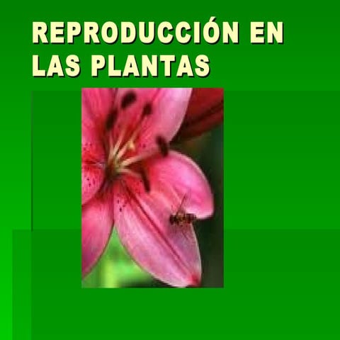 Reproducción en las plantas | PPT