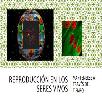 Reproducción en los Seres Vivos. Reinos Mónera, Protista y Fungi | PPTX