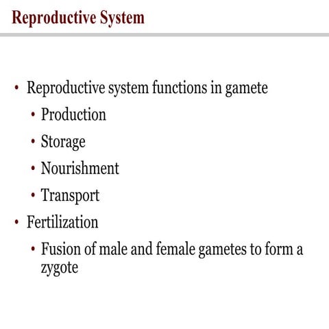 Reproduction | PPT | Pregnancy | Reproductive Health