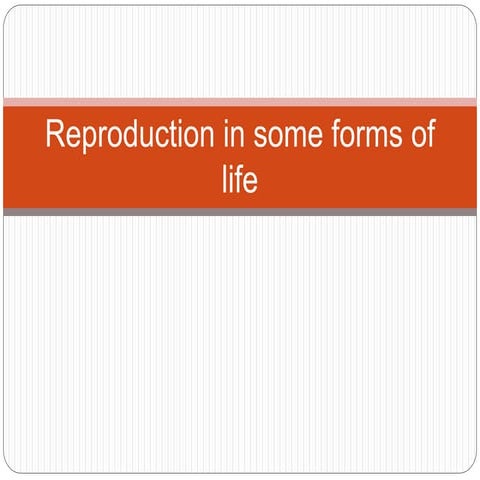 Living things reproduce | ODP