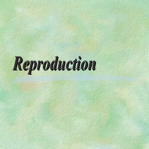 Reproduction | PPT
