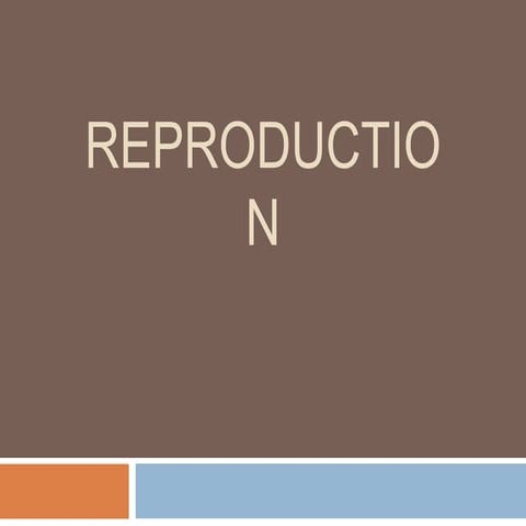 Reproduction | PPT
