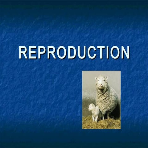 Reproduction | PPT | Infertility | Reproductive Health