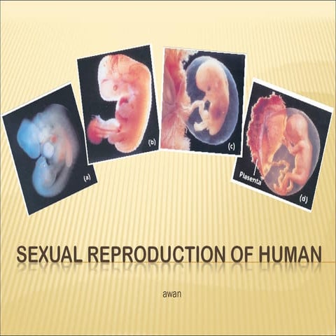 Grade 9 - Sexual Reproduction of Human | PPT