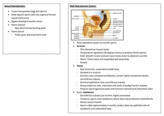 Informele brief | PDF