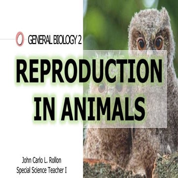 Evidences of Evolution General Biology 2 | PPTX