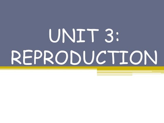 Reproductive System PPT2.ppt for grade 10 | PPT