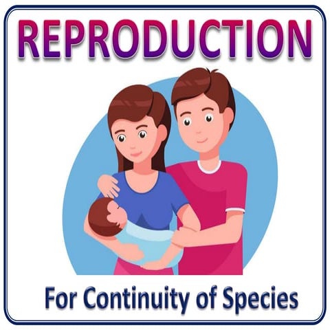 Reproduction | PPT