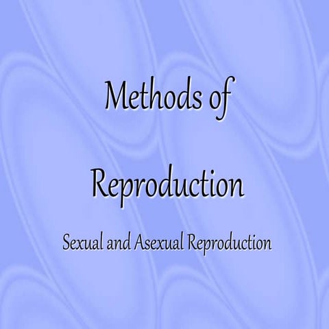 Reproduction | PPT