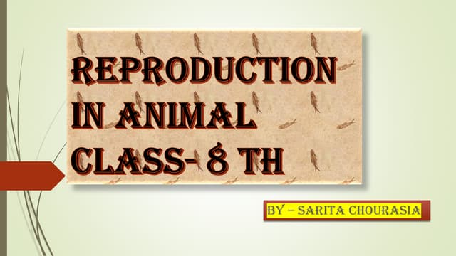 reproduction in animals class 8 | PPTX