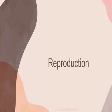 Reproduction | PPTX | Pregnancy | Reproductive Health