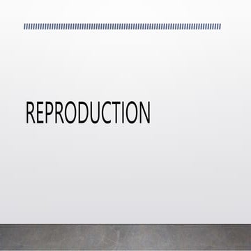 REPRODUCTION.pptx