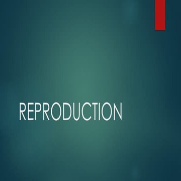 reproduction in plants and animals full chapter.pptx