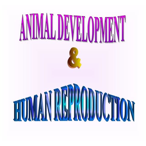 Reproduction-and-Development of Human Beings | PPT