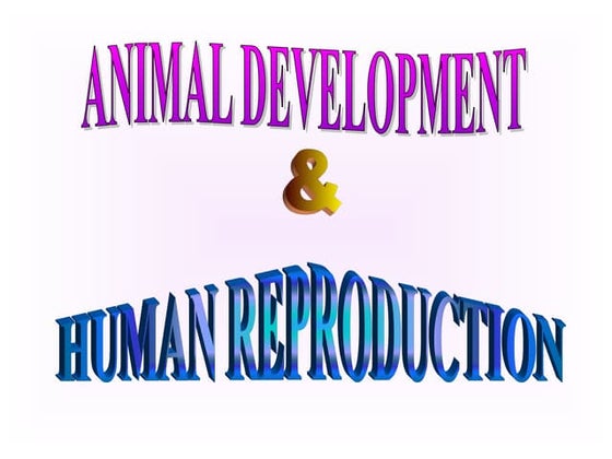 Human-Reproduction.pptx