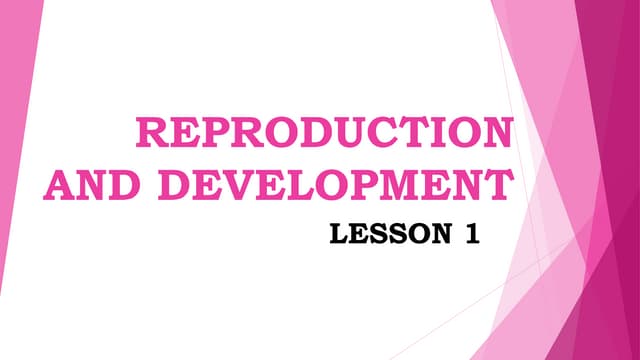 morphogenetic movements-developmental biology | PPTX