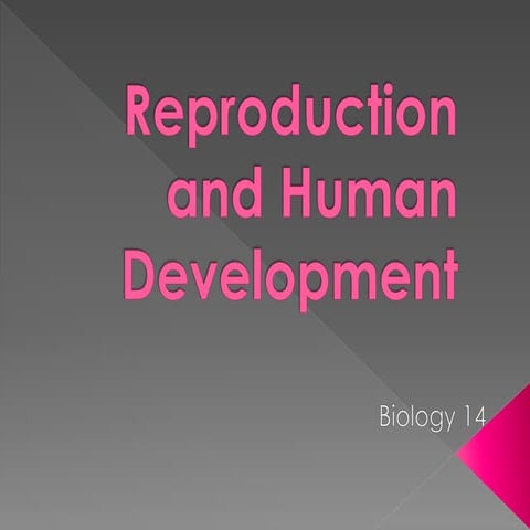Reproduction and human development | PPTX