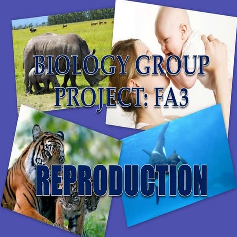 Reproduction of plants and animals group project | PPTX