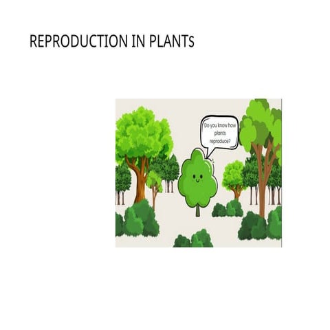 Reproduction in plants | PPTX