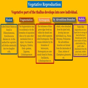 Reproduction in algae | PPTX