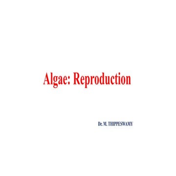 Life cycle of algae | PPTX