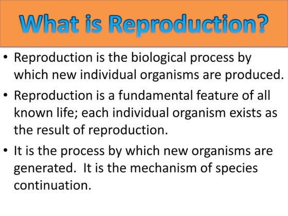 Male reproductive system of cattle | PPTX | Infertility | Reproductive ...