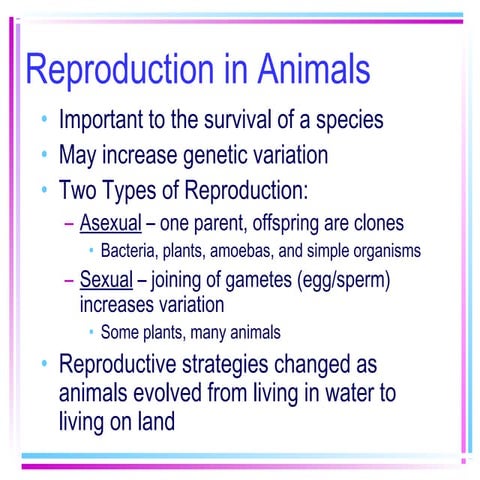 Reproduction in animals | PPT