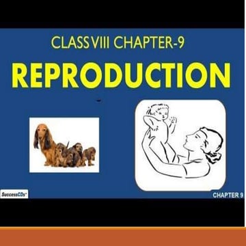 Reproduction in animals | PPT