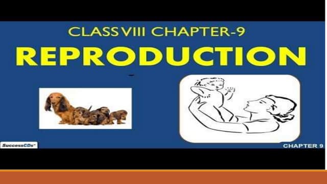 Sexual reproduction in animals | PPT