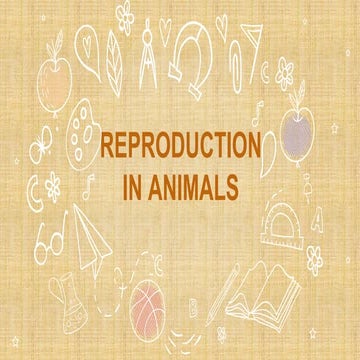 REPRODUCTION IN ANIMALS.pptx