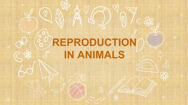 Sexual reproduction in animals | PPT