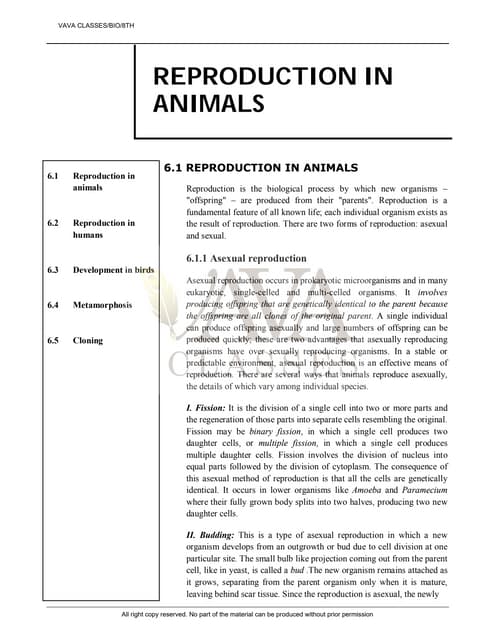 ANIMAL REPRODUCTION grade 5--------.pptx