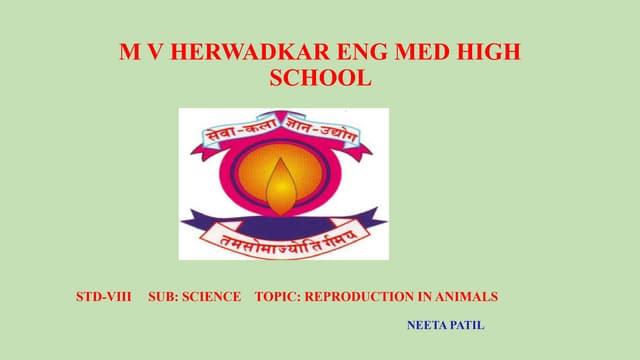 Reproduction in Animals Class 8 basic concepts | PPTX