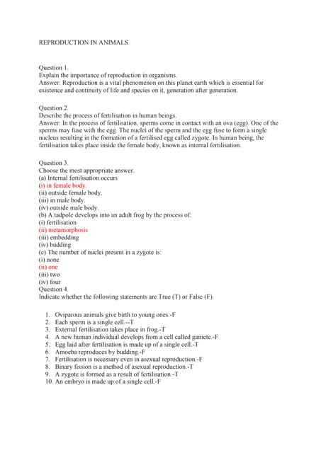 Reproduction in Animals Class 8 basic concepts | PPTX