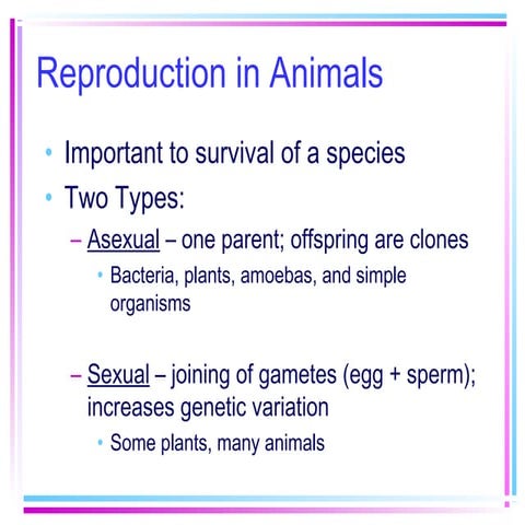 Reproduction in animals | PPT