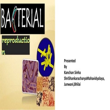 Reproduction in bacteria | PPTX