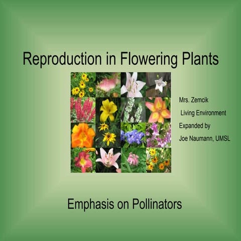 1. SCIENCE W-2 Pollination and Fertilisation.ppt