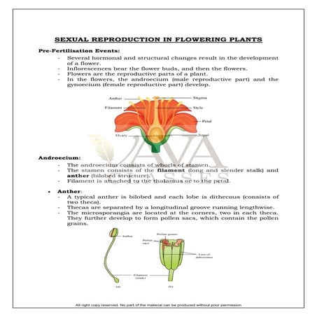 12th Biology Practical Spotting Q.4.pptx