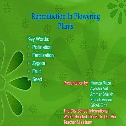Double Fertilization (Sexual Reproduction In Flowering Plants) | PPTX