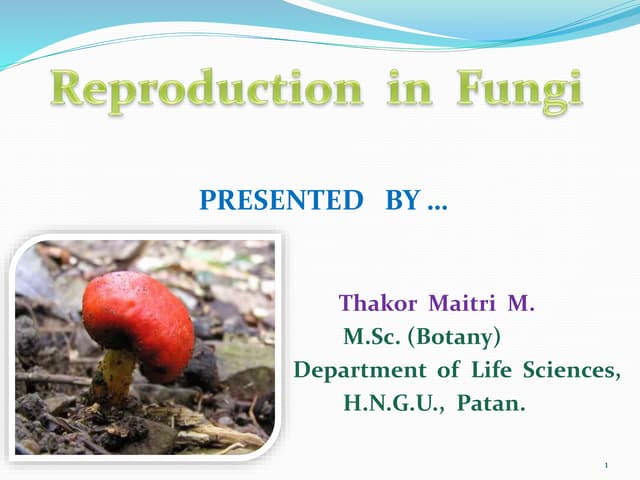Sexual Reproduction In Fungi Pptx 4005