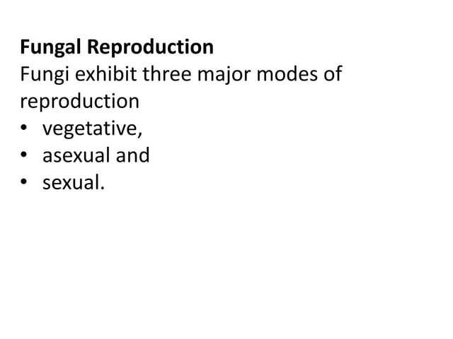 Sexual Reproduction In Fungi Pptx