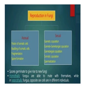 Different Reproduction methods in fungi.pptx