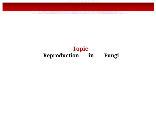 Classification And Reproduction Of Fungi Pptx