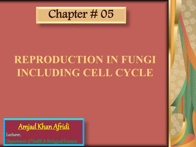 Reproduction In Fungi Including Cell Cycle Ppt