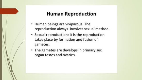 Human Reproduction Pptx Class Xii Biology Ppt