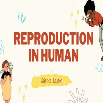 Reproduction In Humans
