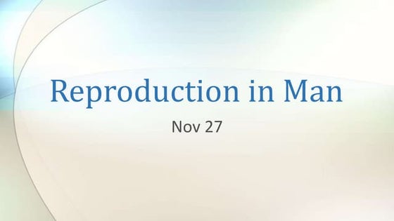 Male reproductive system of cattle | PPTX | Infertility | Reproductive ...