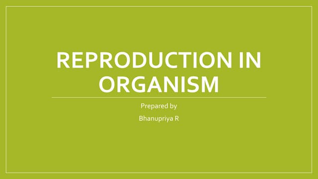 CLASS 11. 2. BIOLOGICAL CLASSIFICATION.pptx
